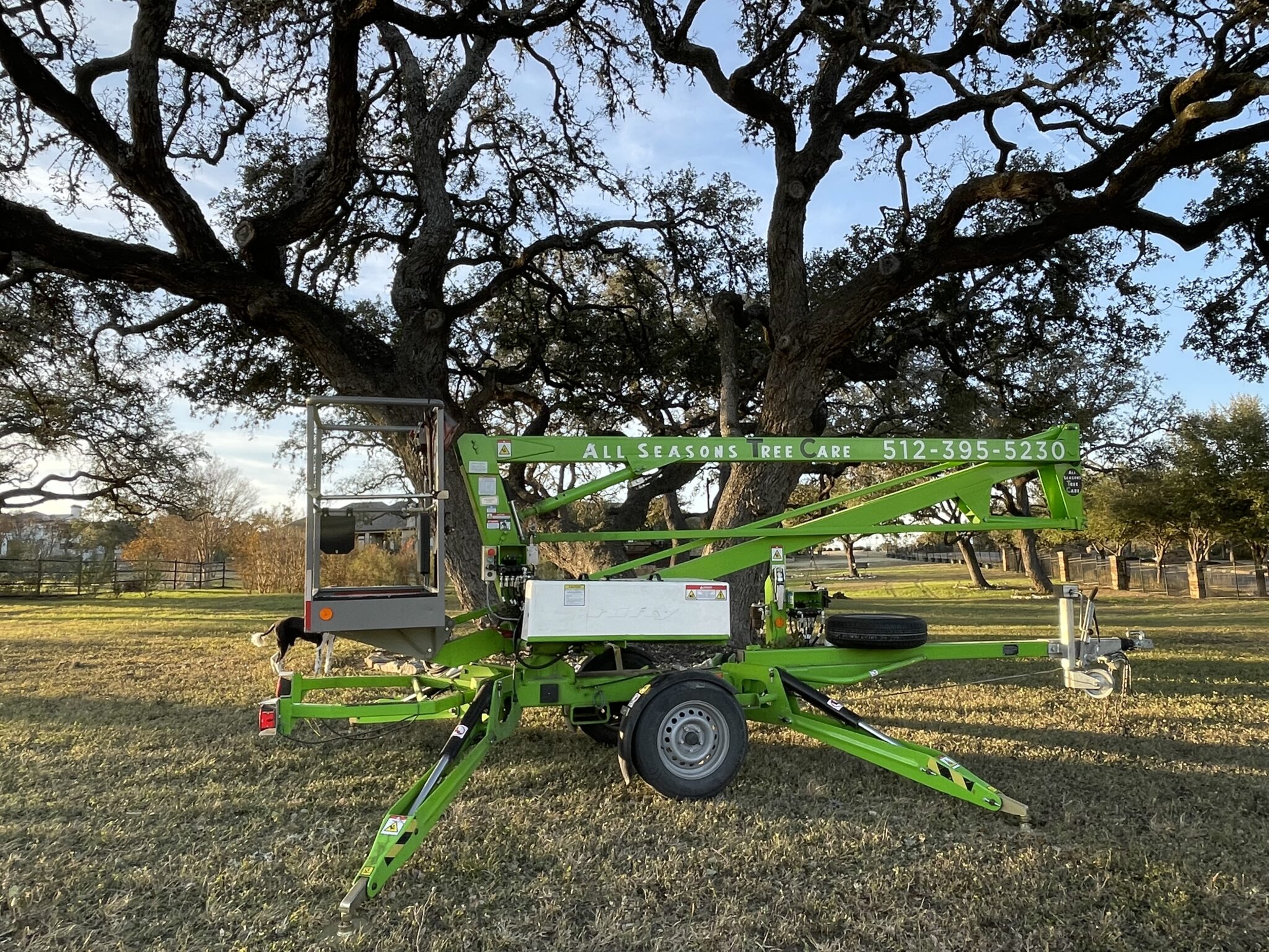 Comprehensive Tree Care Services | All Seasons Tree Care | San Marcos, TX